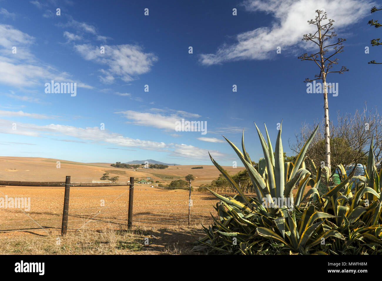South african farming landscape along the garden route, south africa ...