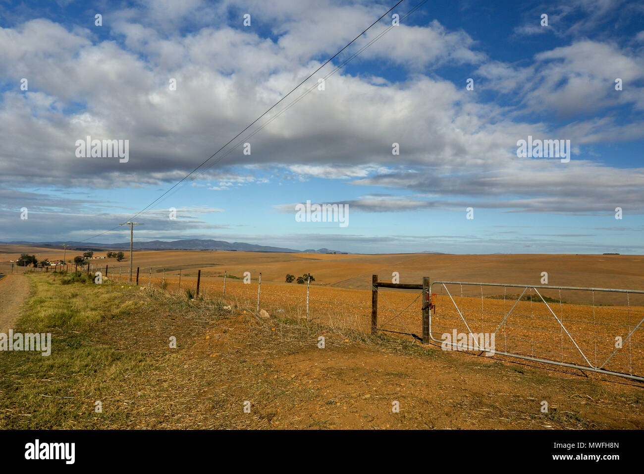 South african farming landscape along the garden route, south africa ...