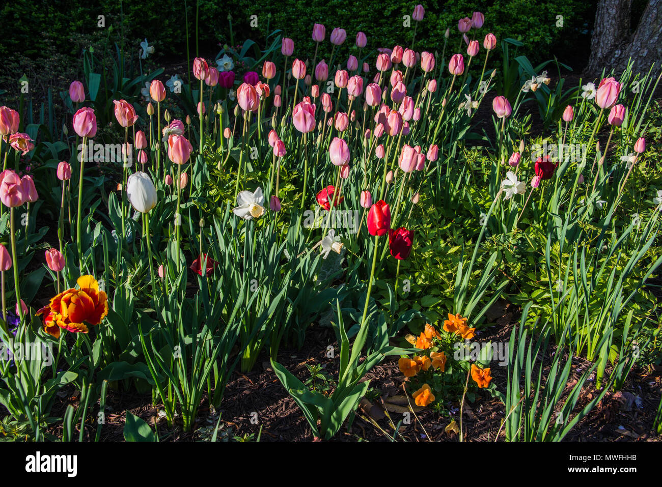 Sidewalk flowerbeds hi-res stock photography and images - Alamy