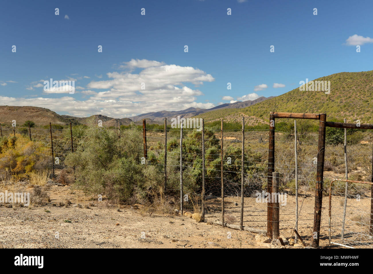 Fynbos landscape in the sunshine along the tourist garden route, south ...