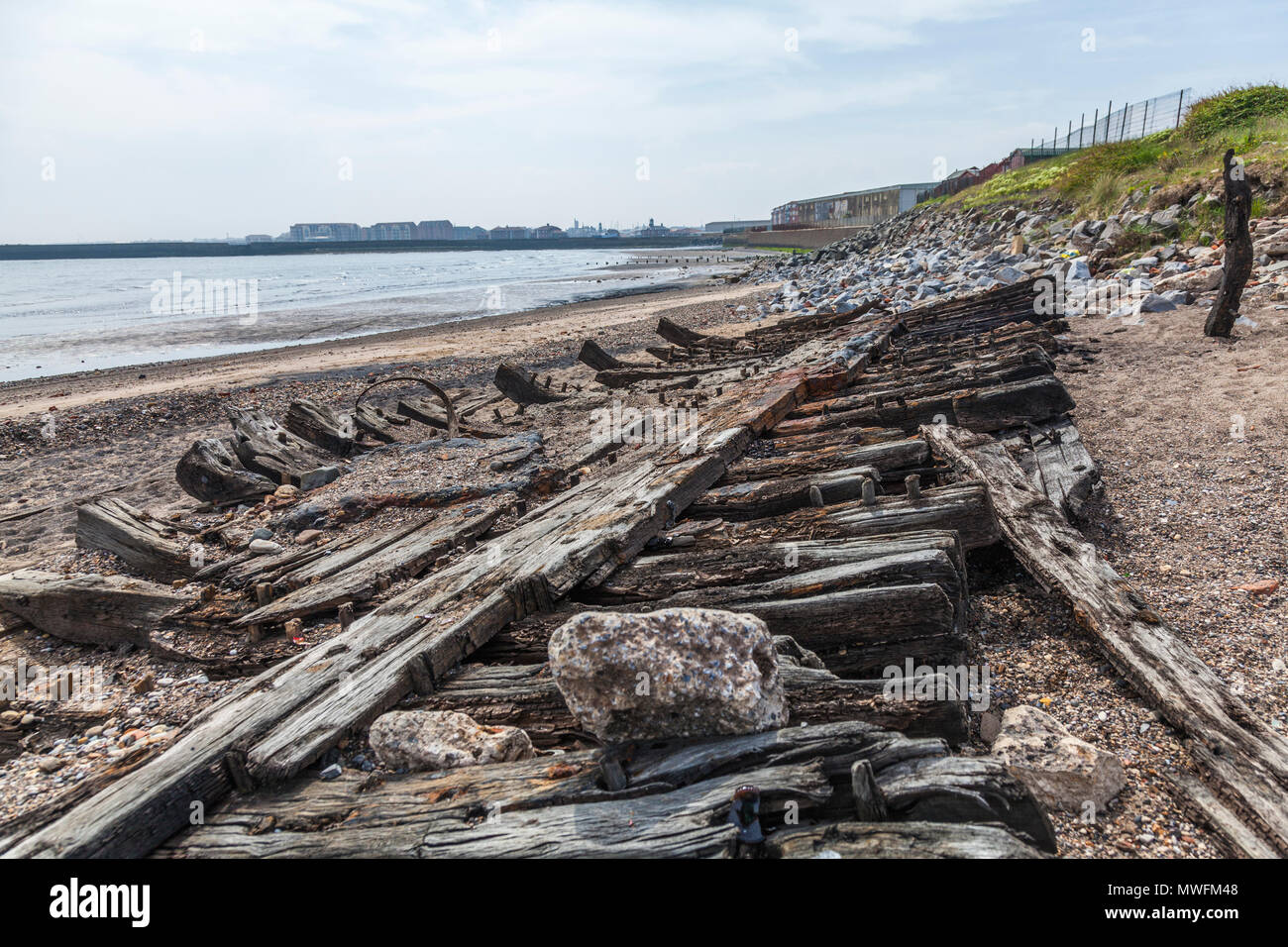 Carcase hi-res stock photography and images - Alamy