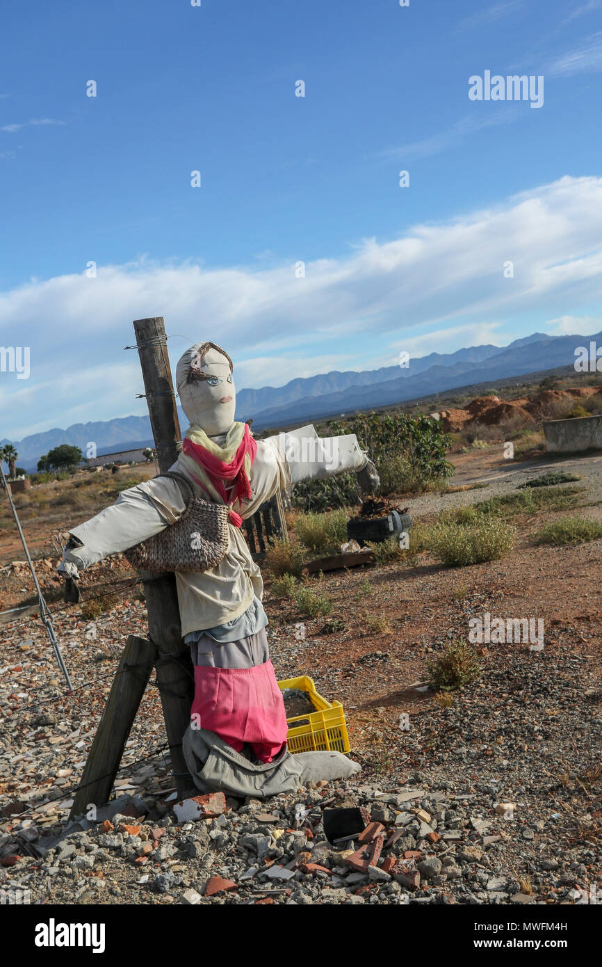 Colourful scarecrow woman in the landscape, Oudtshoorn, garden route ...
