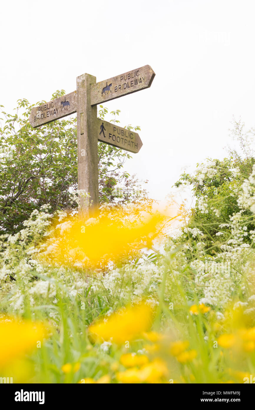 Right of way and sign hi-res stock photography and images - Alamy