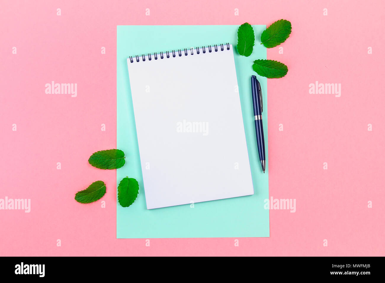 An empty notebook with a blue handle and mint leaves on a blue and pink ...