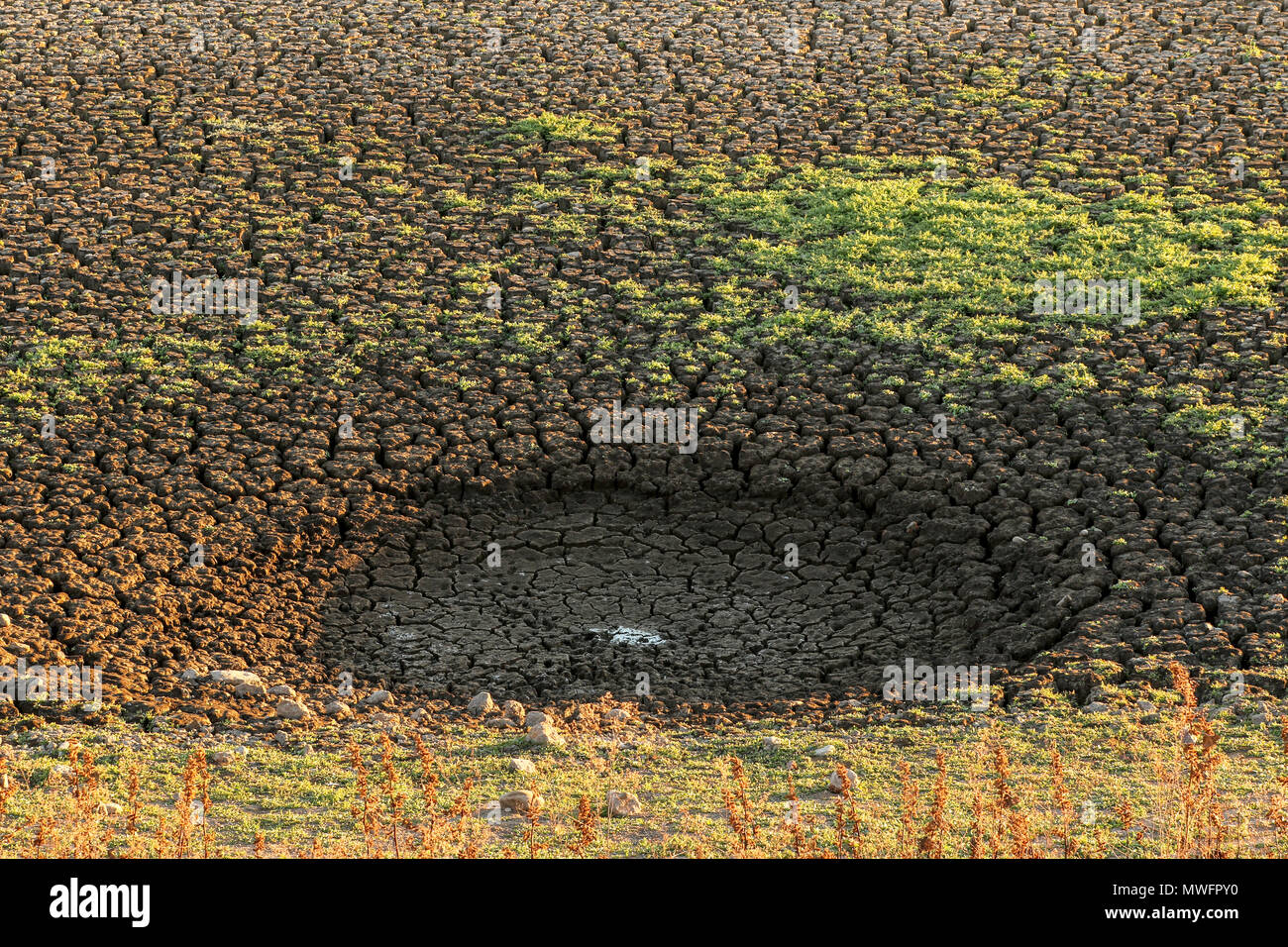 Dry lake bed patterns, Oudtshoorn, , garden route, south africa Stock ...