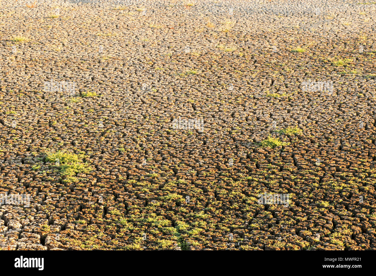 Dry lake bed patterns, Oudtshoorn, , garden route, south africa Stock ...