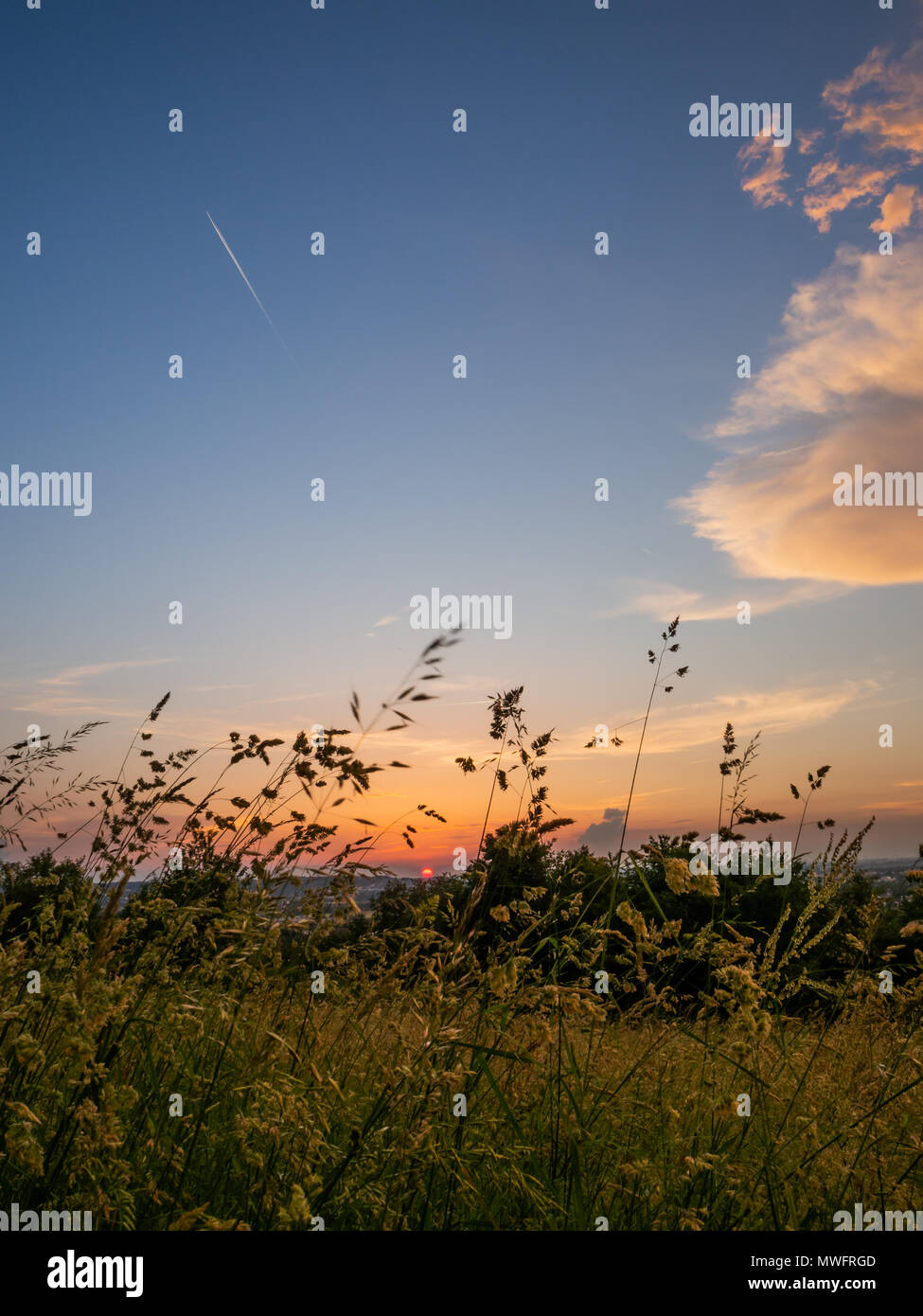 landscape of an open field with an orange sunset Stock Photo - Alamy