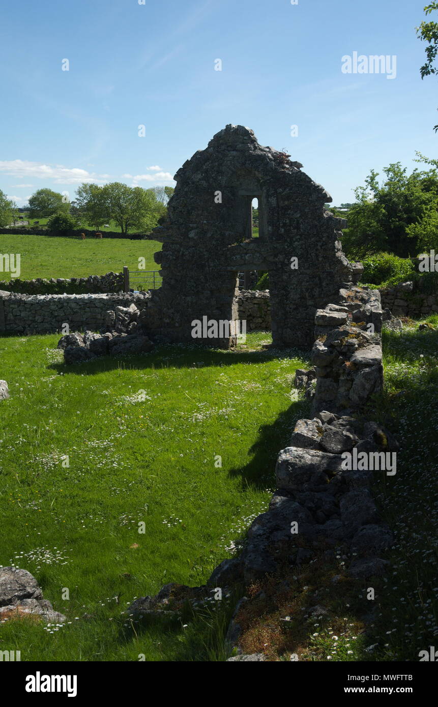 Kilmacduagh abbey hi-res stock photography and images - Alamy