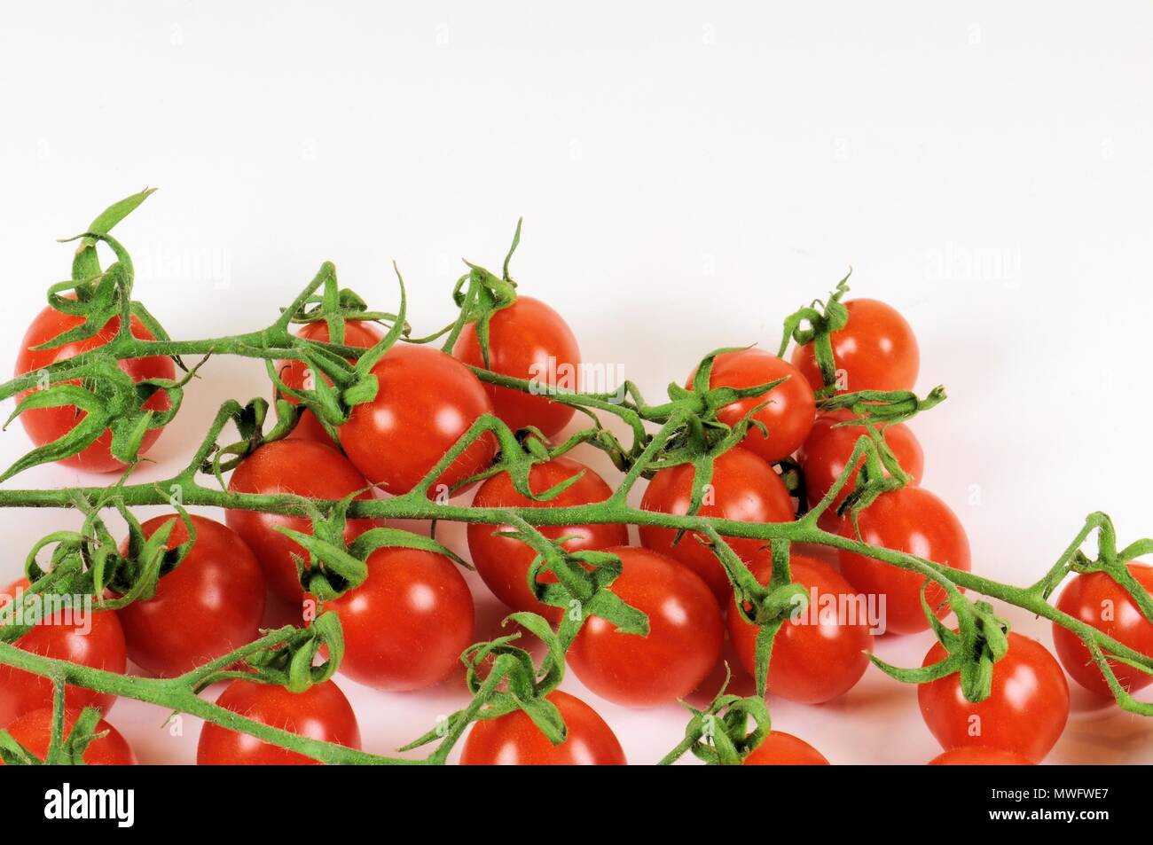 Group of traditional Italian tomatoes pachino on white background Stock ...