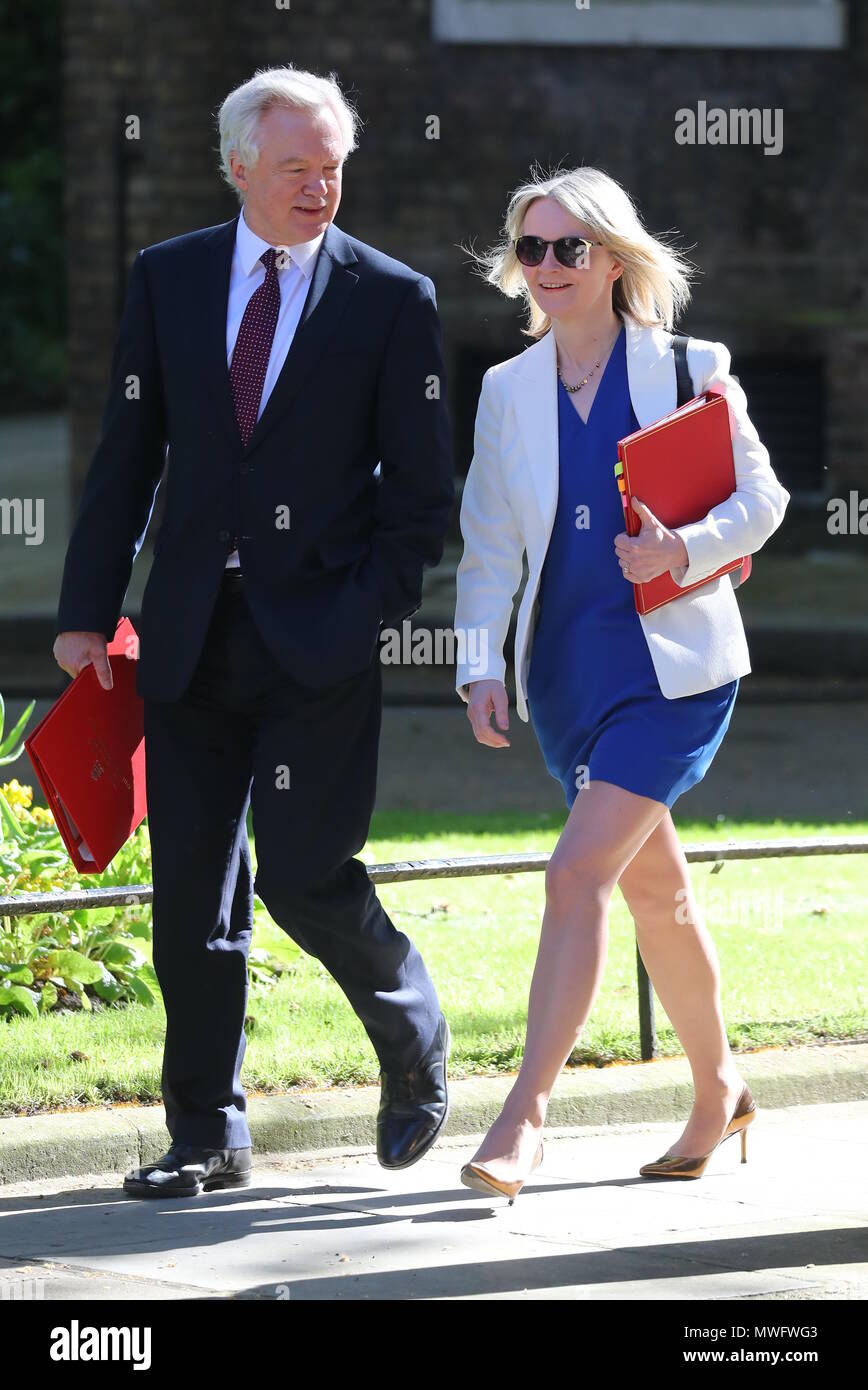 Ministers attend the weekly cabinet meeting at 10 Downing Street Featuring: David Davis ...
