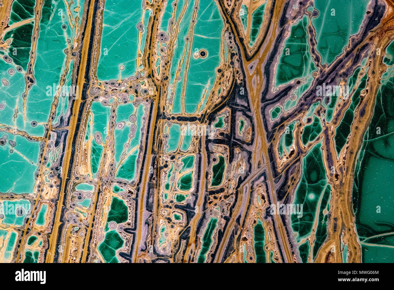 Wonderful specimen hi-res stock photography and images - Alamy