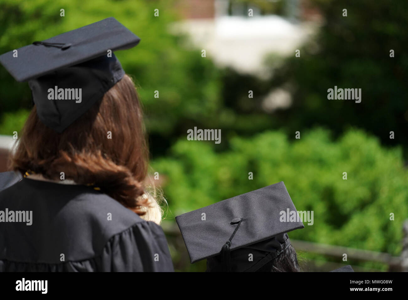 graduation day at usa university hat detail Stock Photo - Alamy