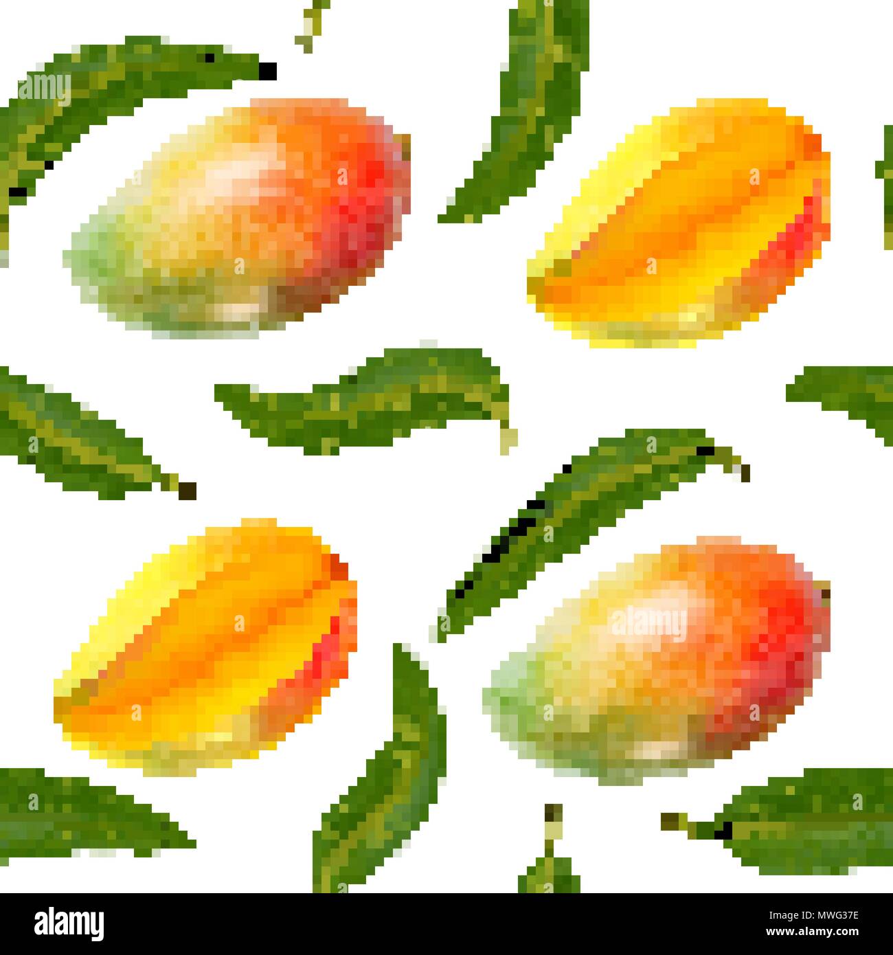 Vector seamless pattern with realistic mango isolated on white. Bright ...