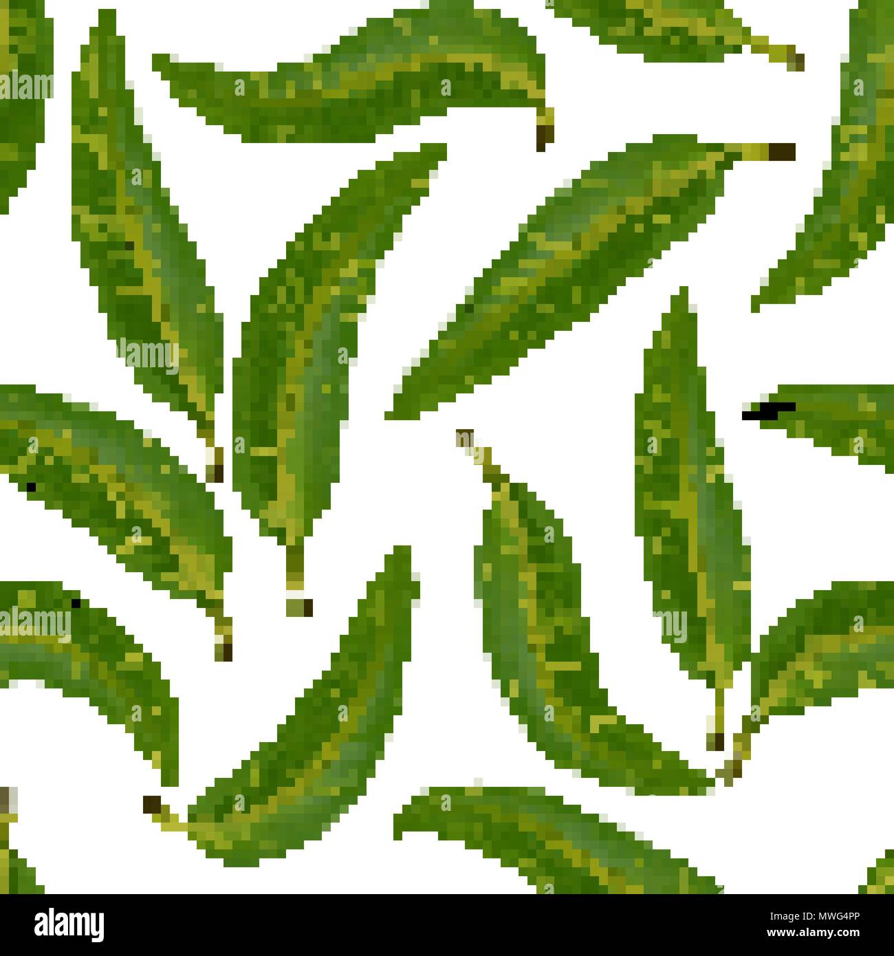 Seamless pattern with mango leaf. Realistic vector illustration plant ...