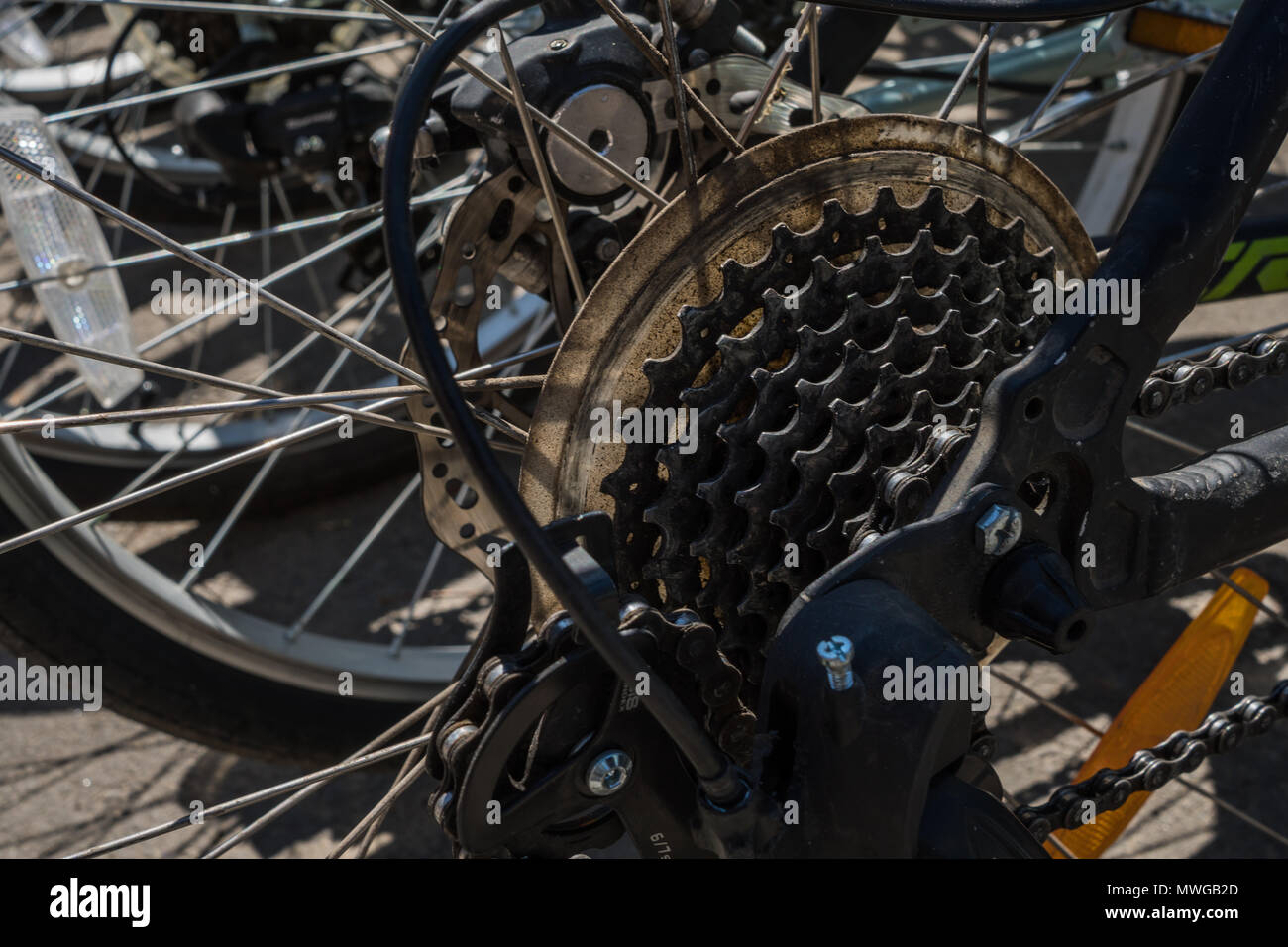 The queue of bicycles. Wheels of bicycles. texture. background Stock ...