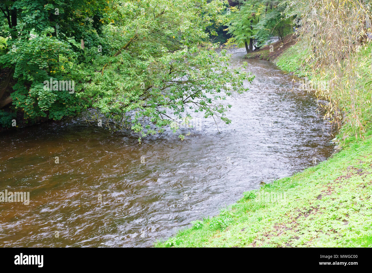 River flows among trees hi-res stock photography and images - Alamy