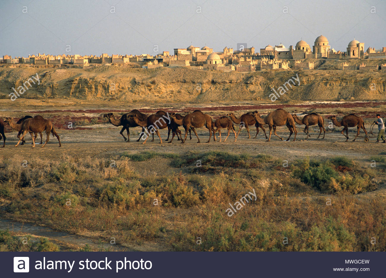 Koum Stock Photos & Koum Stock Images - Alamy