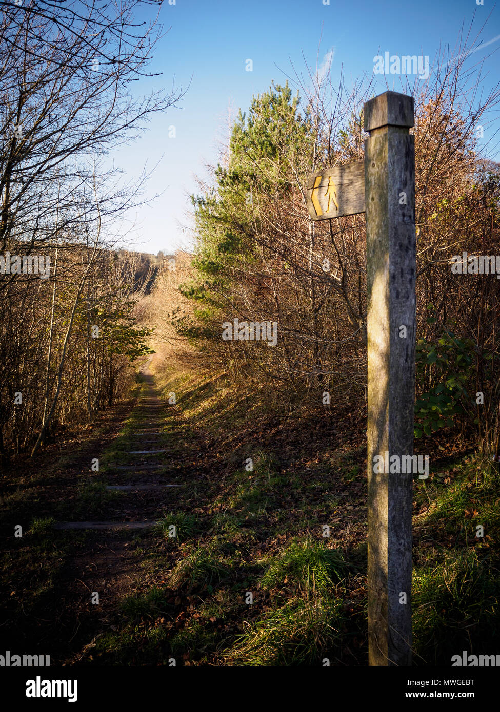 Wooden Hiking Pathway Sign along Trail Stock Photo - Alamy