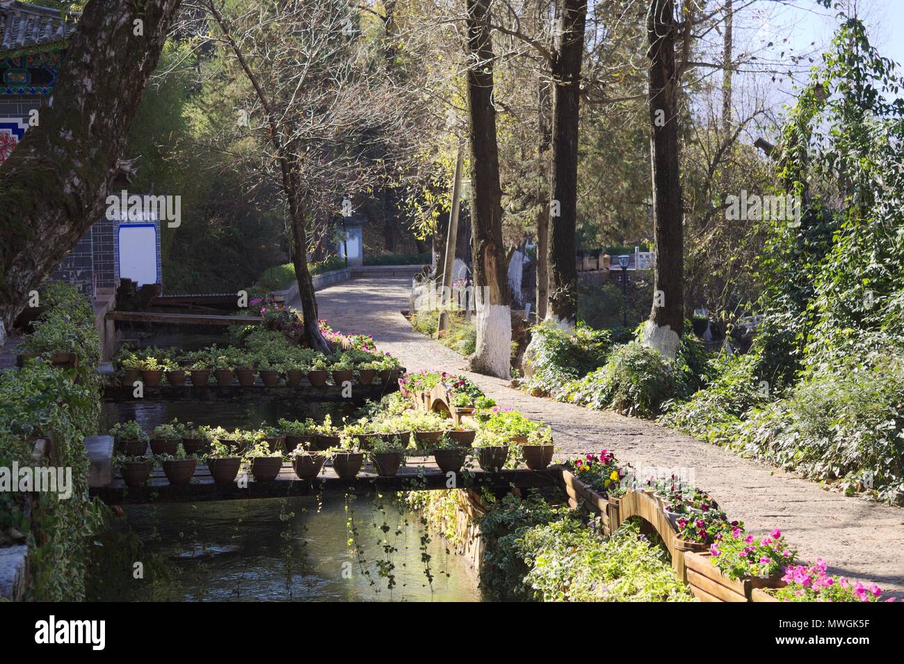 Chinese path with plants and flowers above the river (Old Town of ...