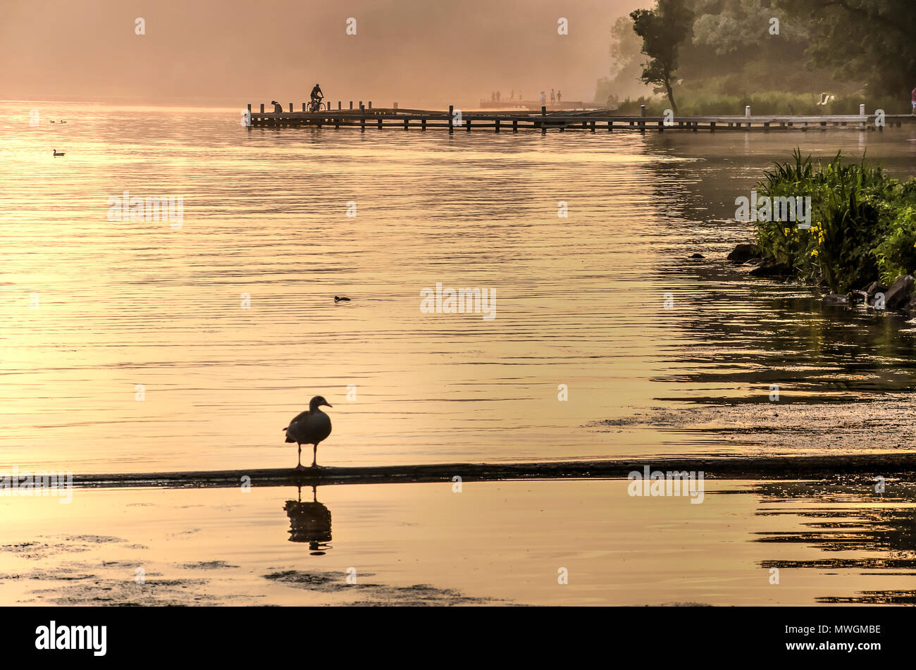 Kralingen Stock Photos & Kralingen Stock Images - Alamy