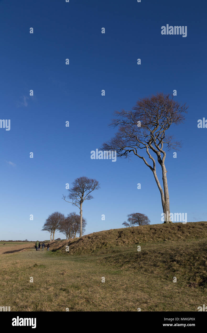 Roundway hill fort hi-res stock photography and images - Alamy