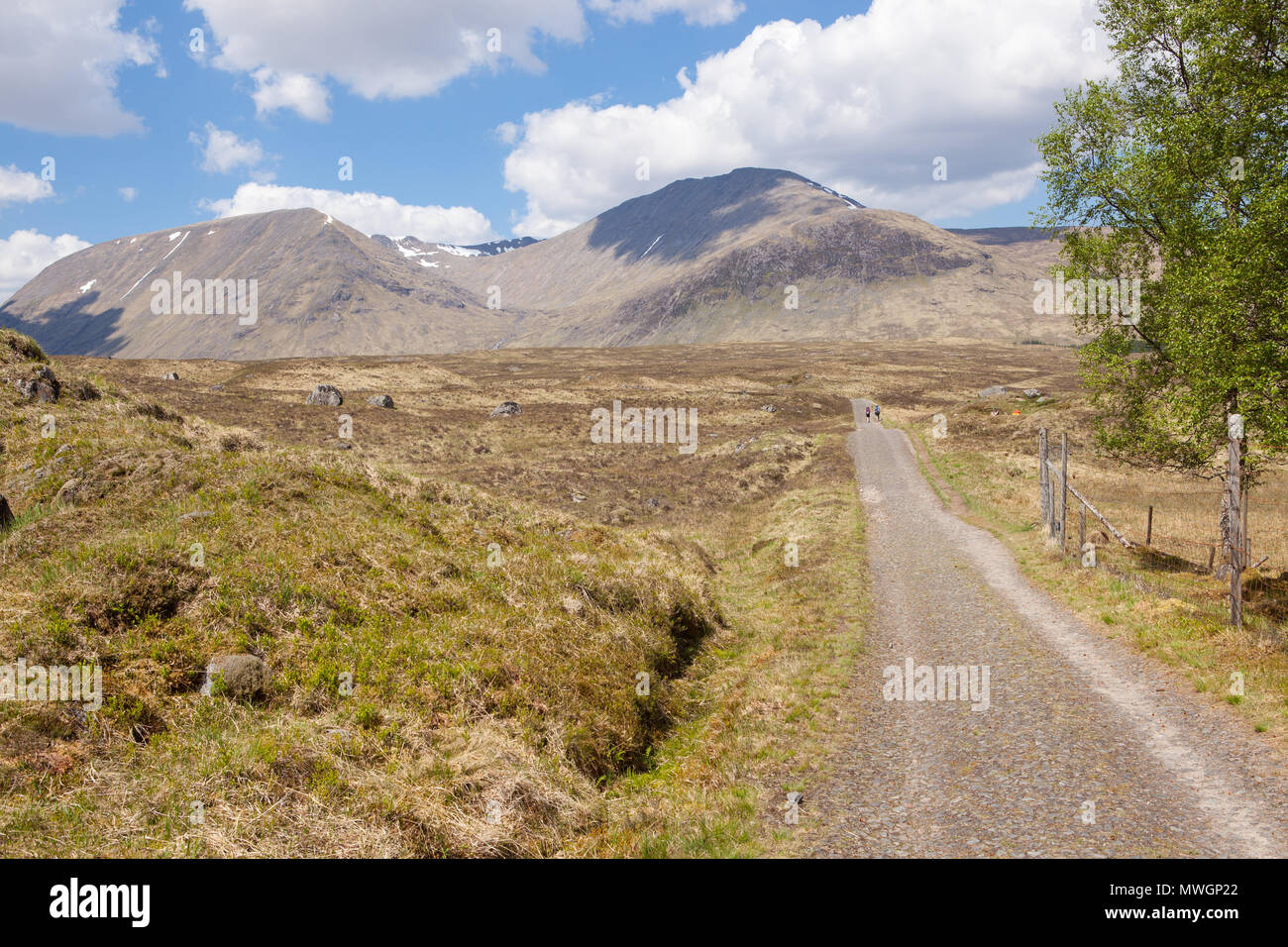 Moor adventure trail hi-res stock photography and images - Alamy