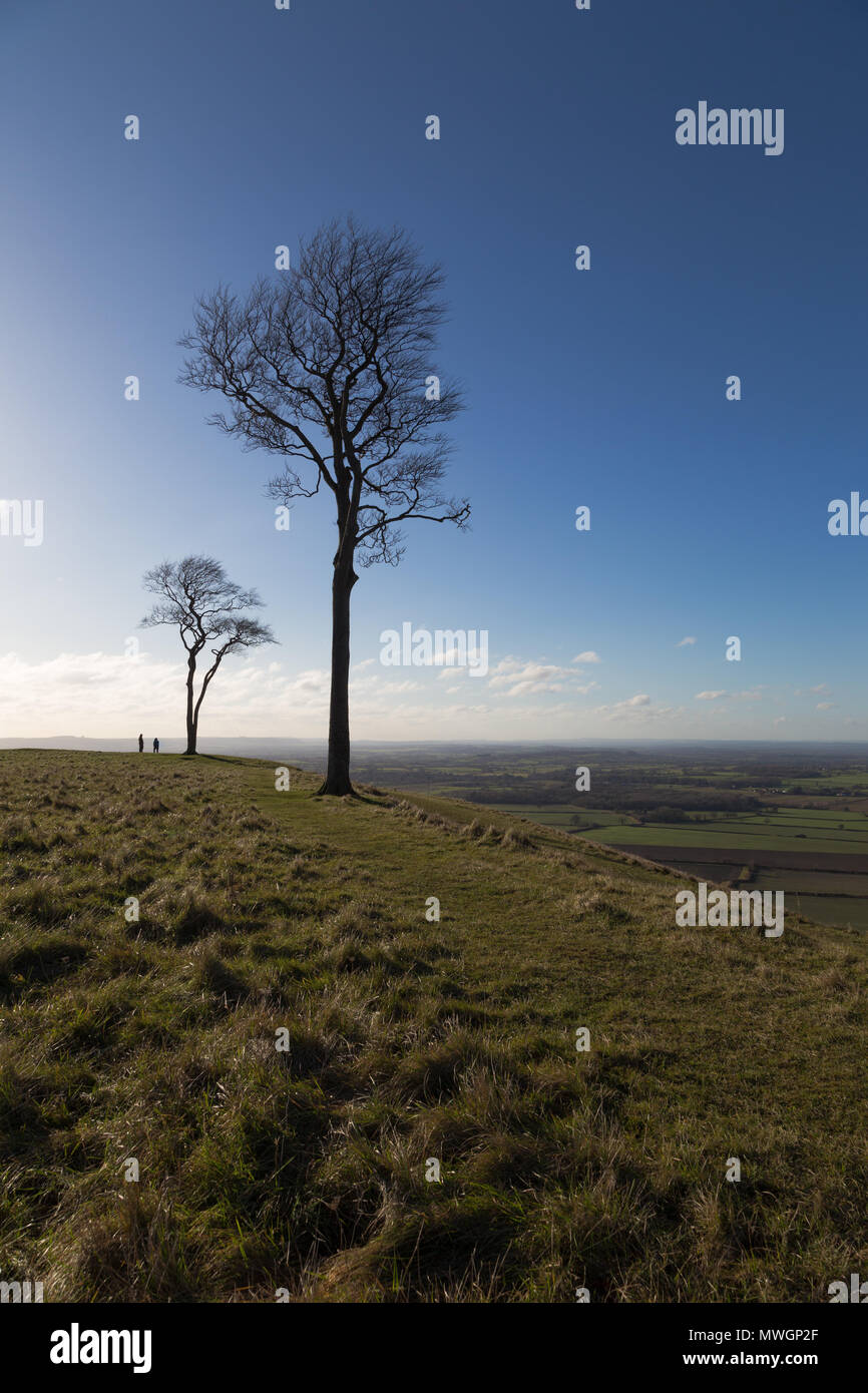 Roundway down hi-res stock photography and images - Alamy