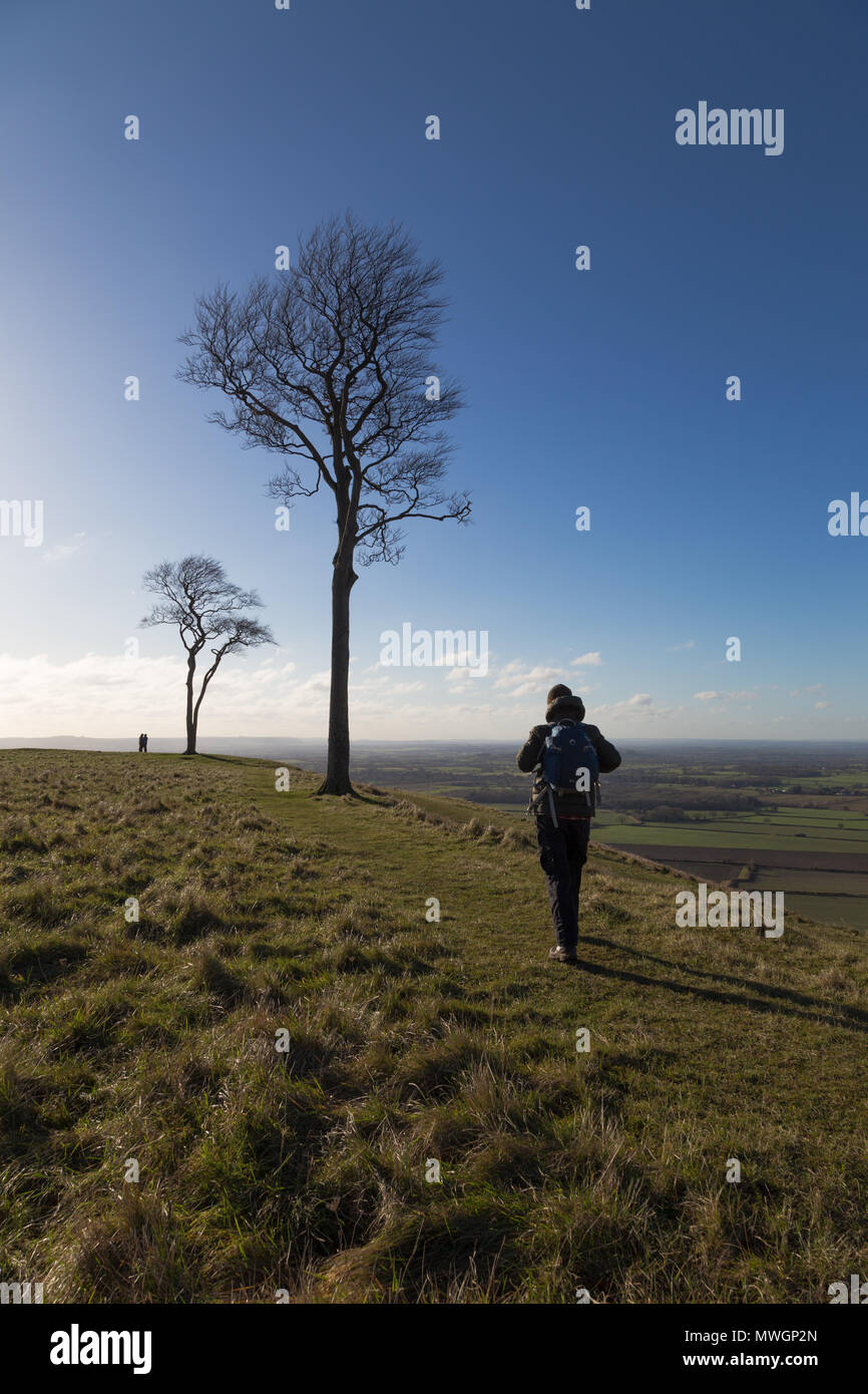 Roundway hill devizes hi-res stock photography and images - Alamy