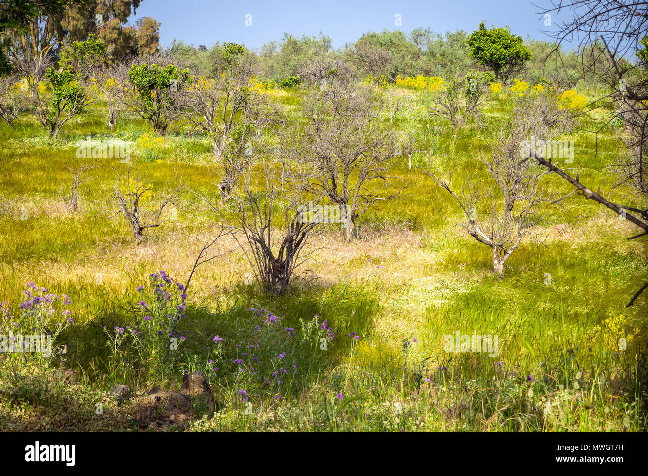 Countryside code and flowers hi-res stock photography and images - Alamy