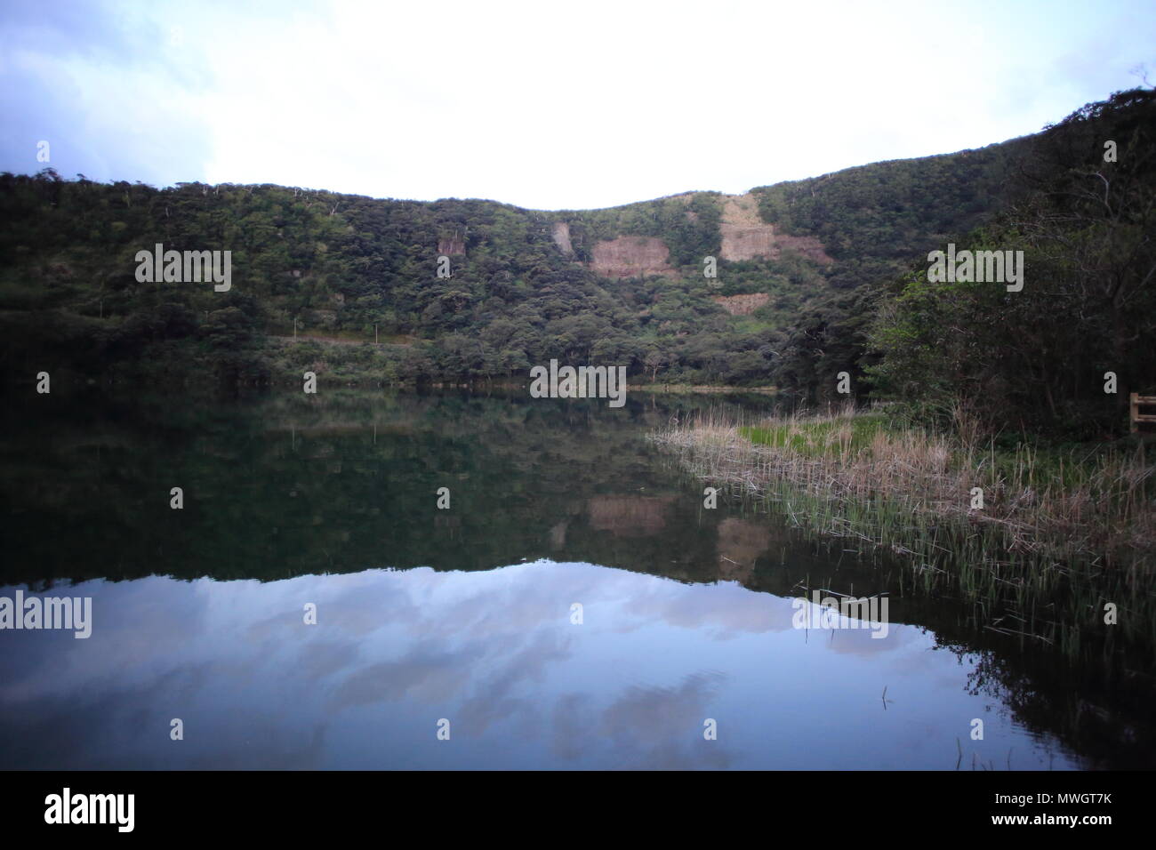 Miyake Japan High Resolution Stock Photography and Images - Alamy