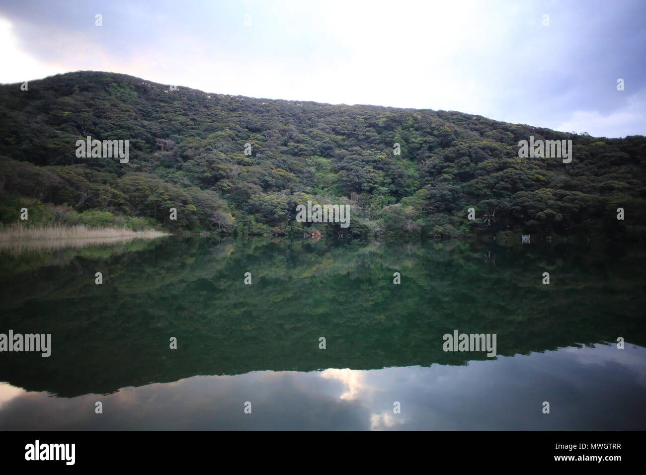 Miyake, japan hi-res stock photography and images - Alamy