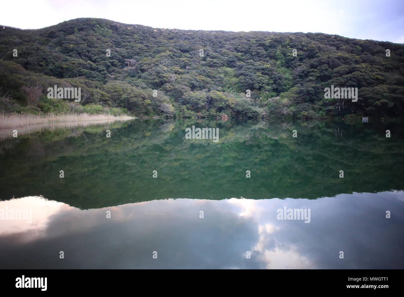 Miyake japan hi-res stock photography and images - Alamy