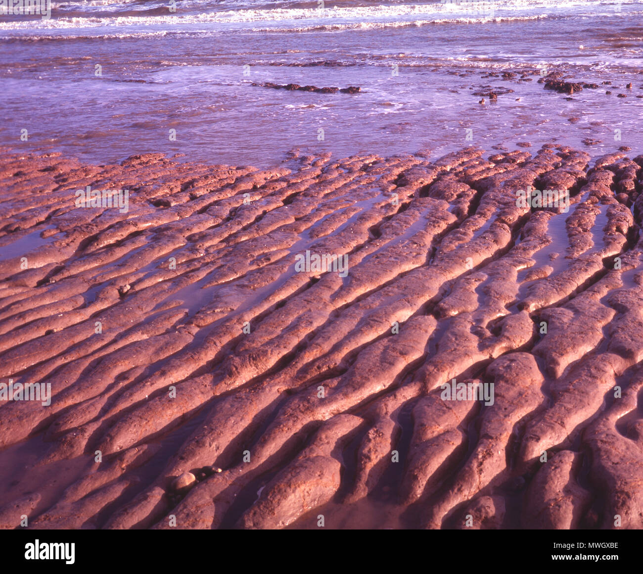 Ripples in sand of shoreline North Sea coast, Suffolk, England, UK ...
