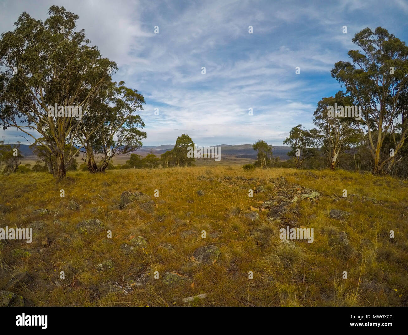 The lowlands seen from atop a mountain in Kosciuszko National Park ...