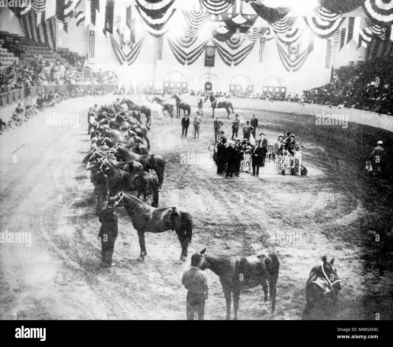 Livestock fairs Black and White Stock Photos & Images - Alamy