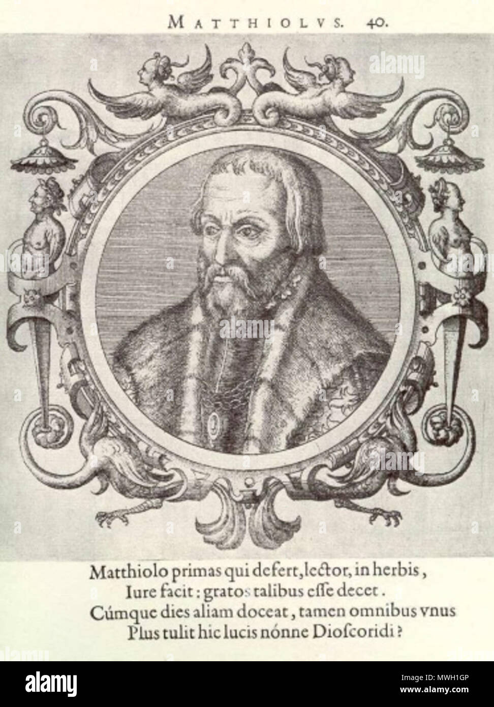 Circa 1550 hi-res stock photography and images - Alamy