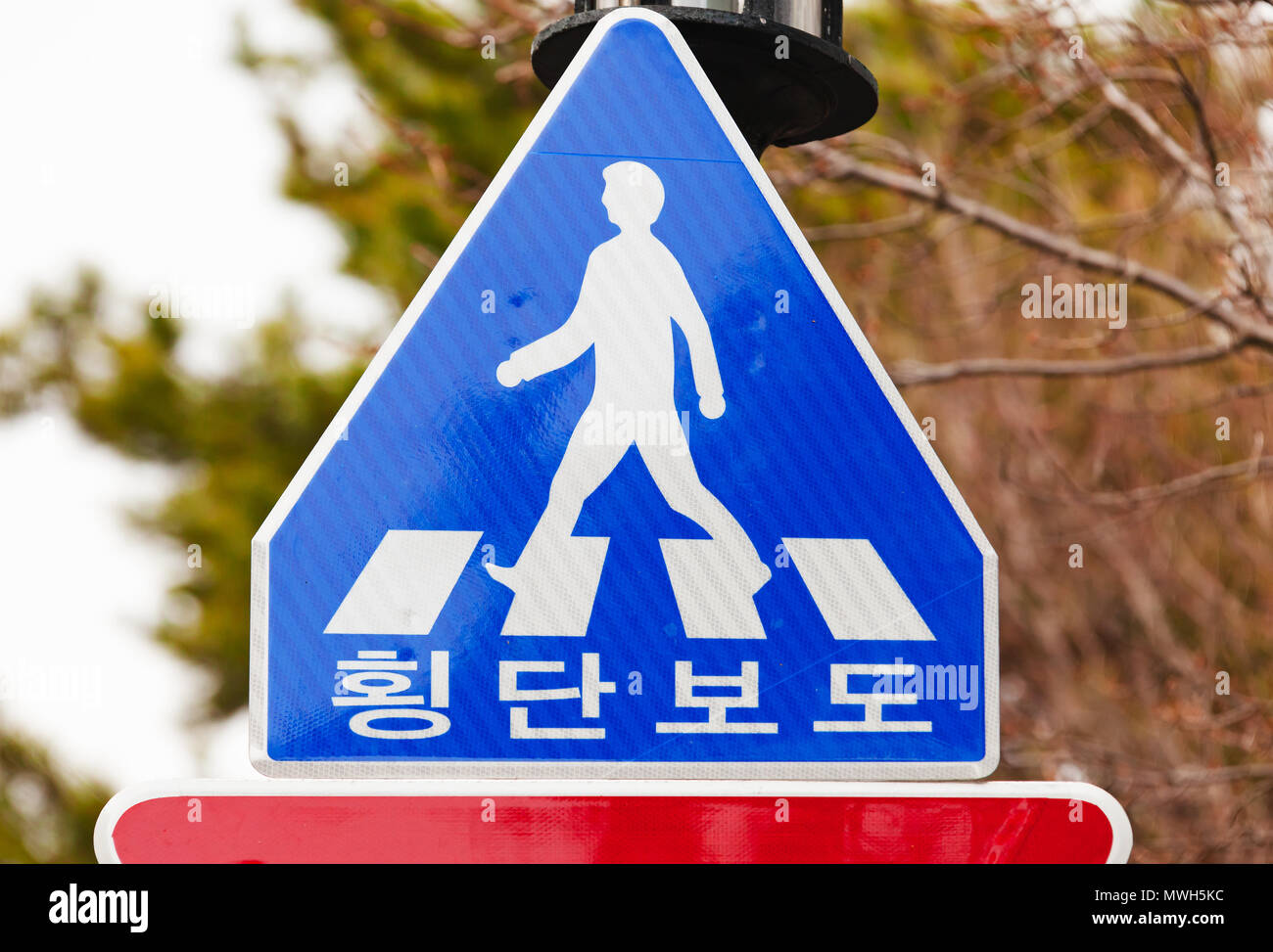 Pedestrian crossing, blue Korean warning sign. Busan, South Korea Stock ...