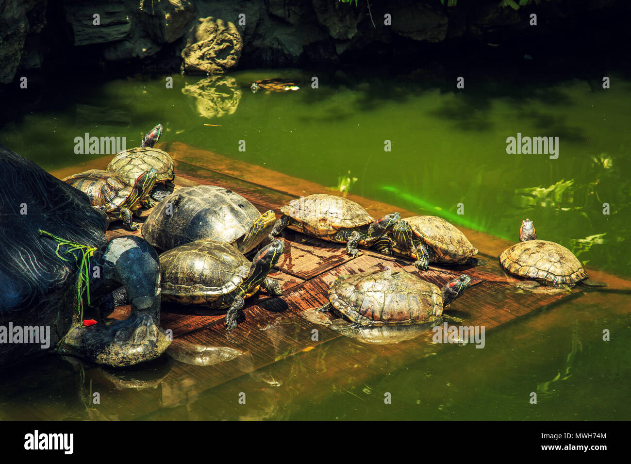 Prayoon temple bangkok hi-res stock photography and images - Alamy