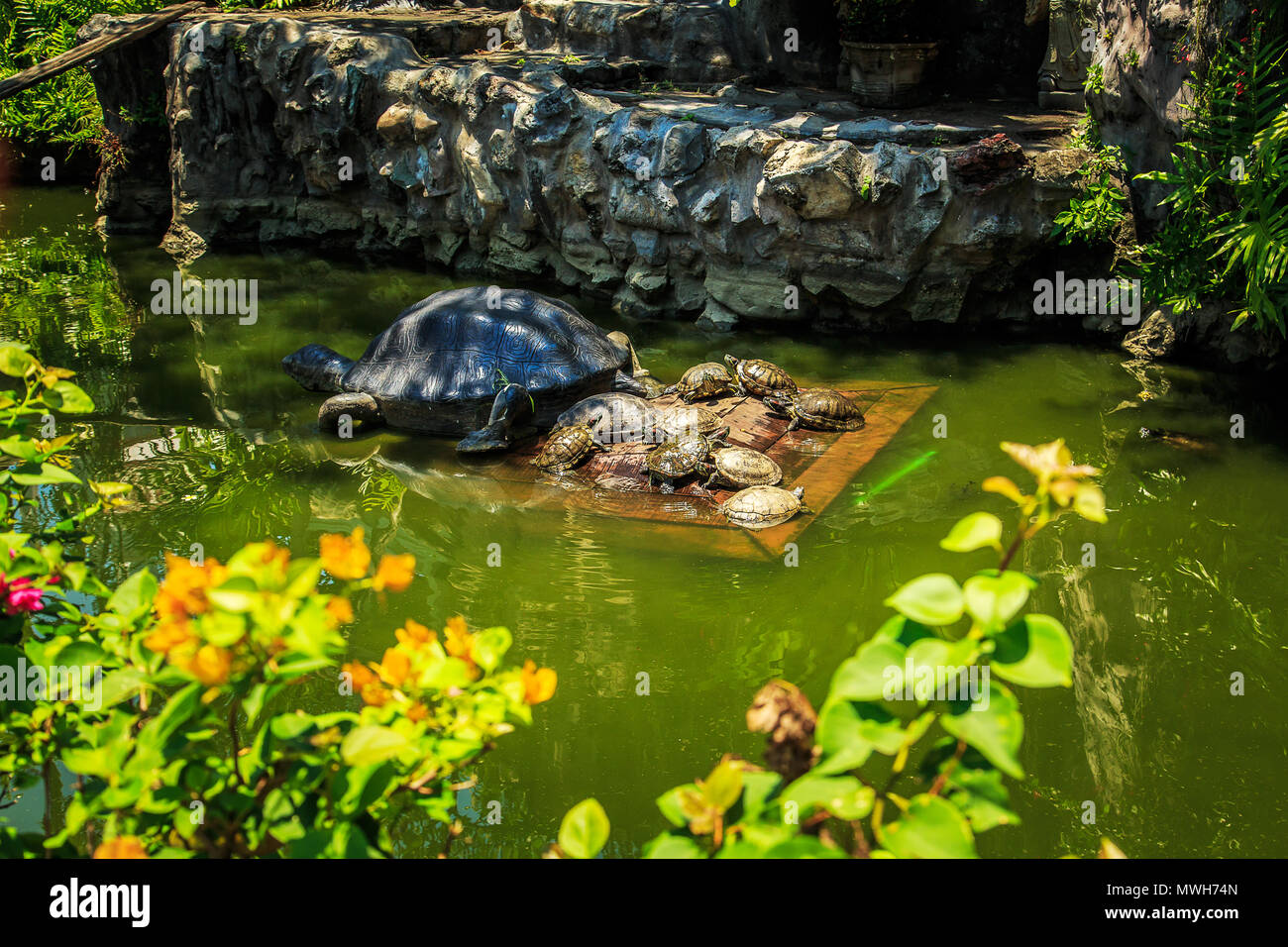 Prayoon temple hi-res stock photography and images - Alamy