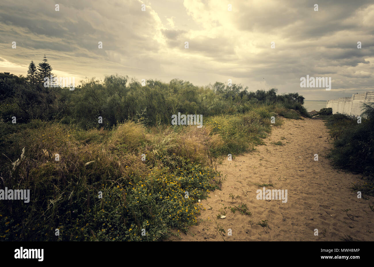 Sandy beach road hi-res stock photography and images - Alamy
