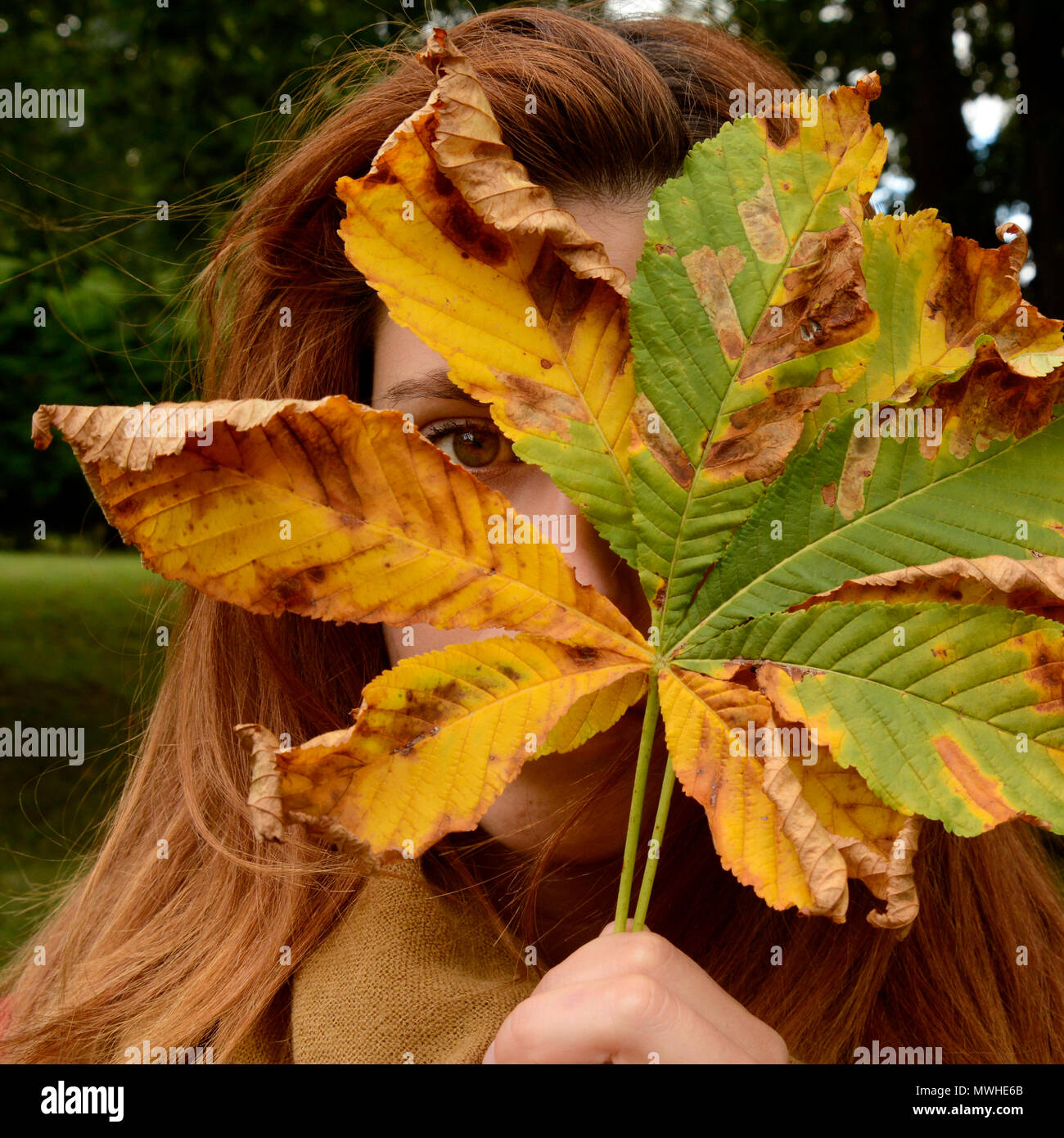 Woman face covered by a leaf Stock Photo - Alamy