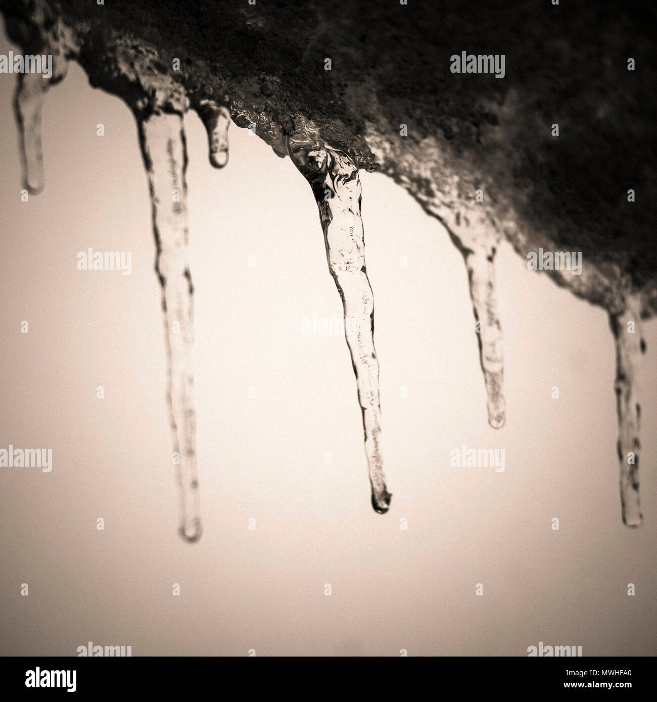 Dripping freezing water hi-res stock photography and images - Alamy