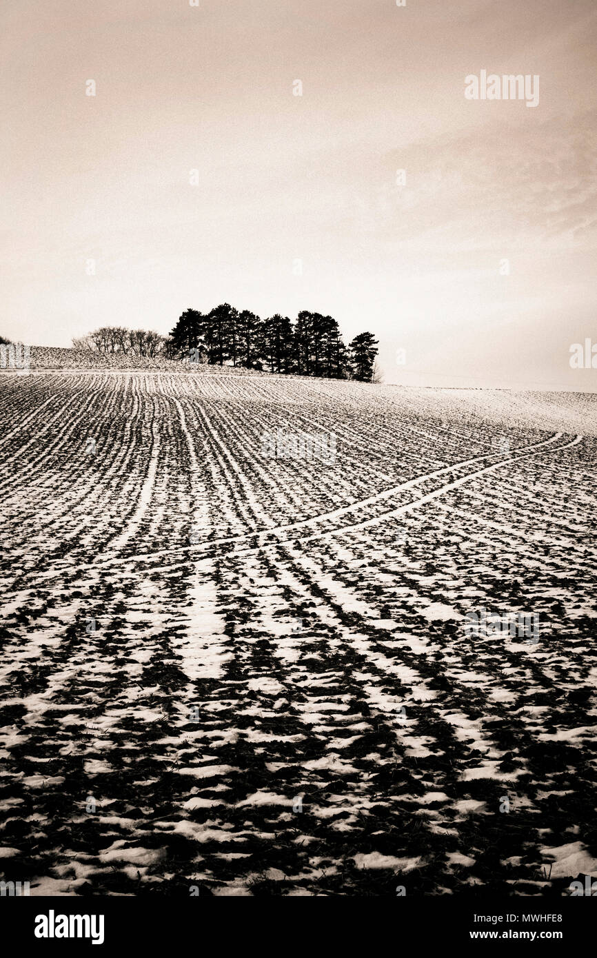 Black soil field hi-res stock photography and images - Alamy