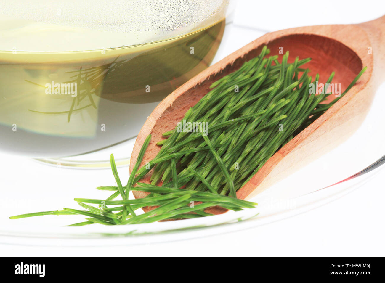 Horsetailtea, Tea, Medicinal tea, herbtea, Medicinal plant, Equisetum ...