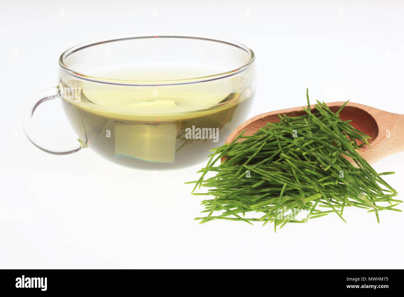 Horsetailtea, Tea, Medicinal tea, herbtea, Medicinal plant, Equisetum ...