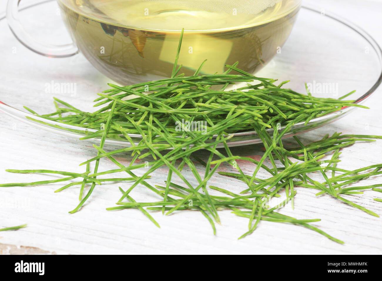 Horsetailtea, Tea, Medicinal tea, herbtea, Medicinal plant, Equisetum ...