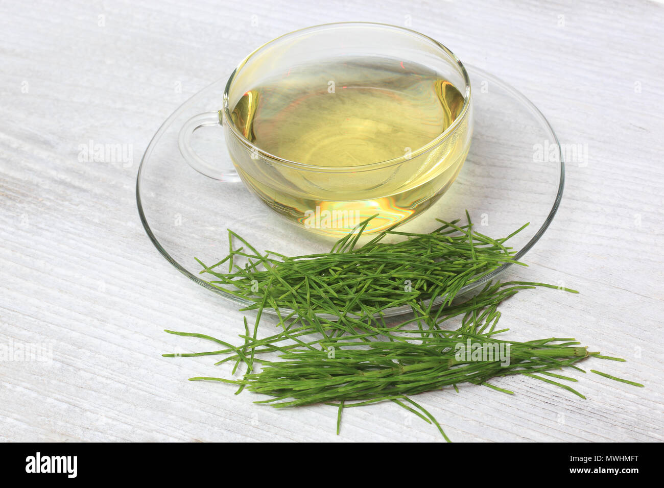 Equisetumtea hi-res stock photography and images - Alamy
