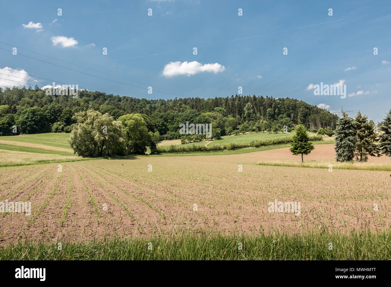 German countryside with forests, fields and meadows Stock Photo - Alamy