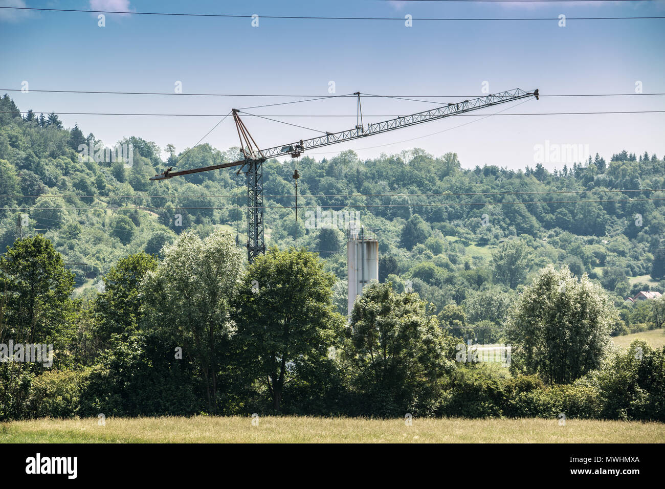 Crane forest hi-res stock photography and images - Alamy