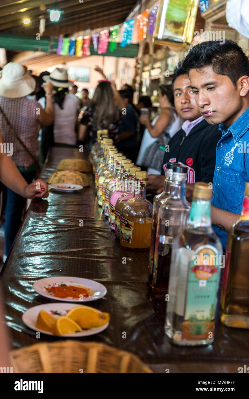 Mezcal distillery bar with a row of different types of mezcal for ...